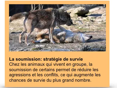 Ce Qui se Cache Derrière le Manque de Confiance en Soi – Pratiquer la ...